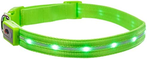 Brightest LED Dog Collar: Illuminate, Protect - UTECHPIA