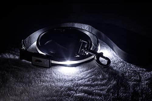 Stay Safe with the Blazin' LED Dog Leash - Flashing Light, Rechargeable ...