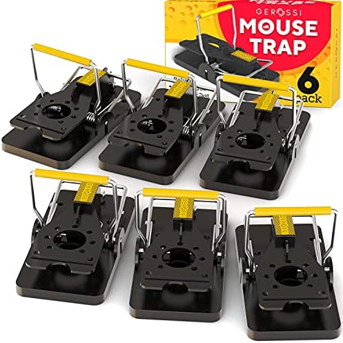 Get Rid of Rodents Fast with 6 Powerful Mouse Traps - UTECHPIA